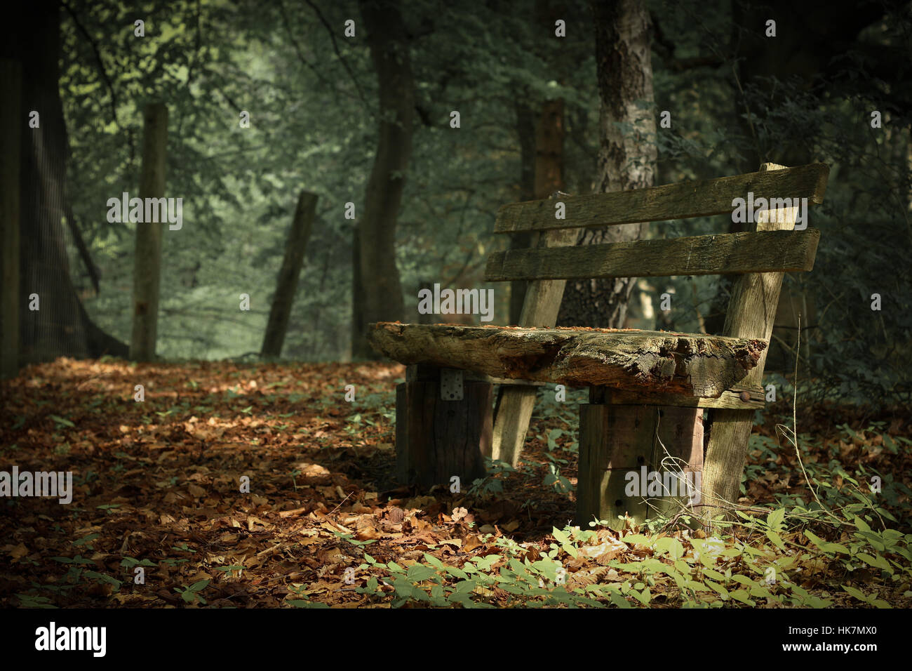 relaxation, tree, seat, bench, scenery, countryside, nature, backdrop ...