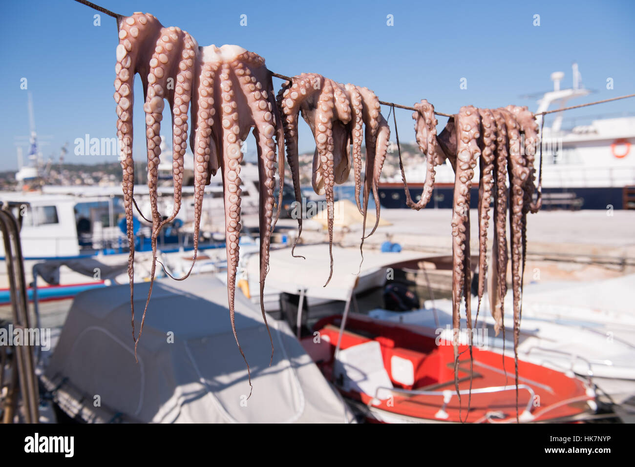 octopus hanging on a rope in a fishing port in Greece Stock Photo - Alamy