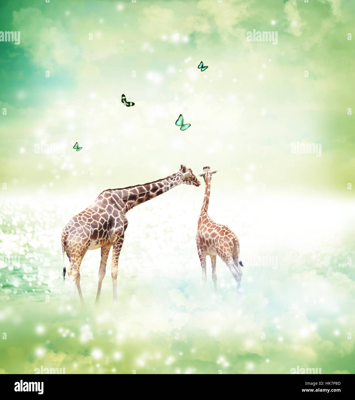 friendship, art, model, design, project, concept, plan, draft, female ...