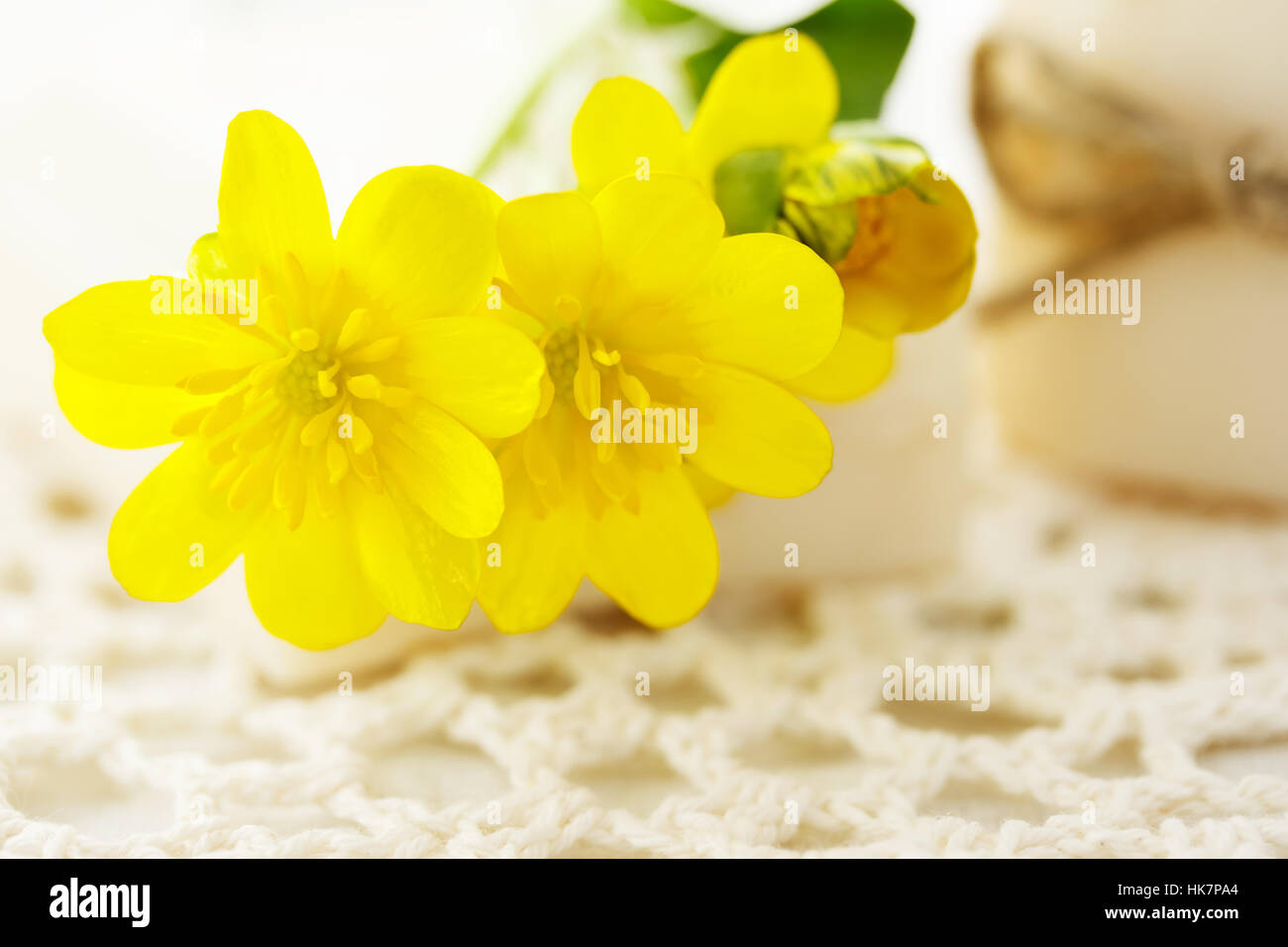 leaf, objects, health, flower, plant, flowers, wellbeing, hygiene, soap ...