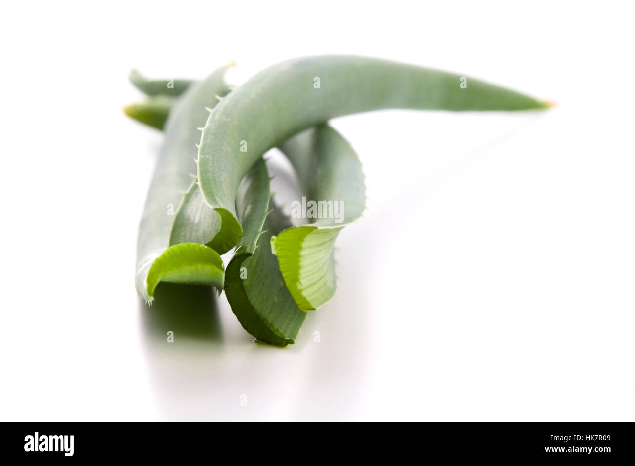 Aloe vera - herbal medicine Stock Photo - Alamy