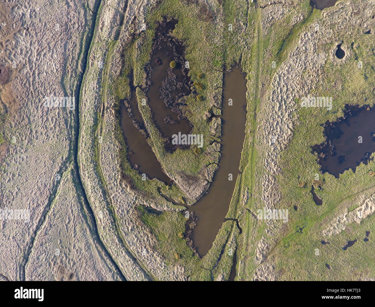 Dee Estuary Birds Stock Photos & Dee Estuary Birds Stock Images - Alamy