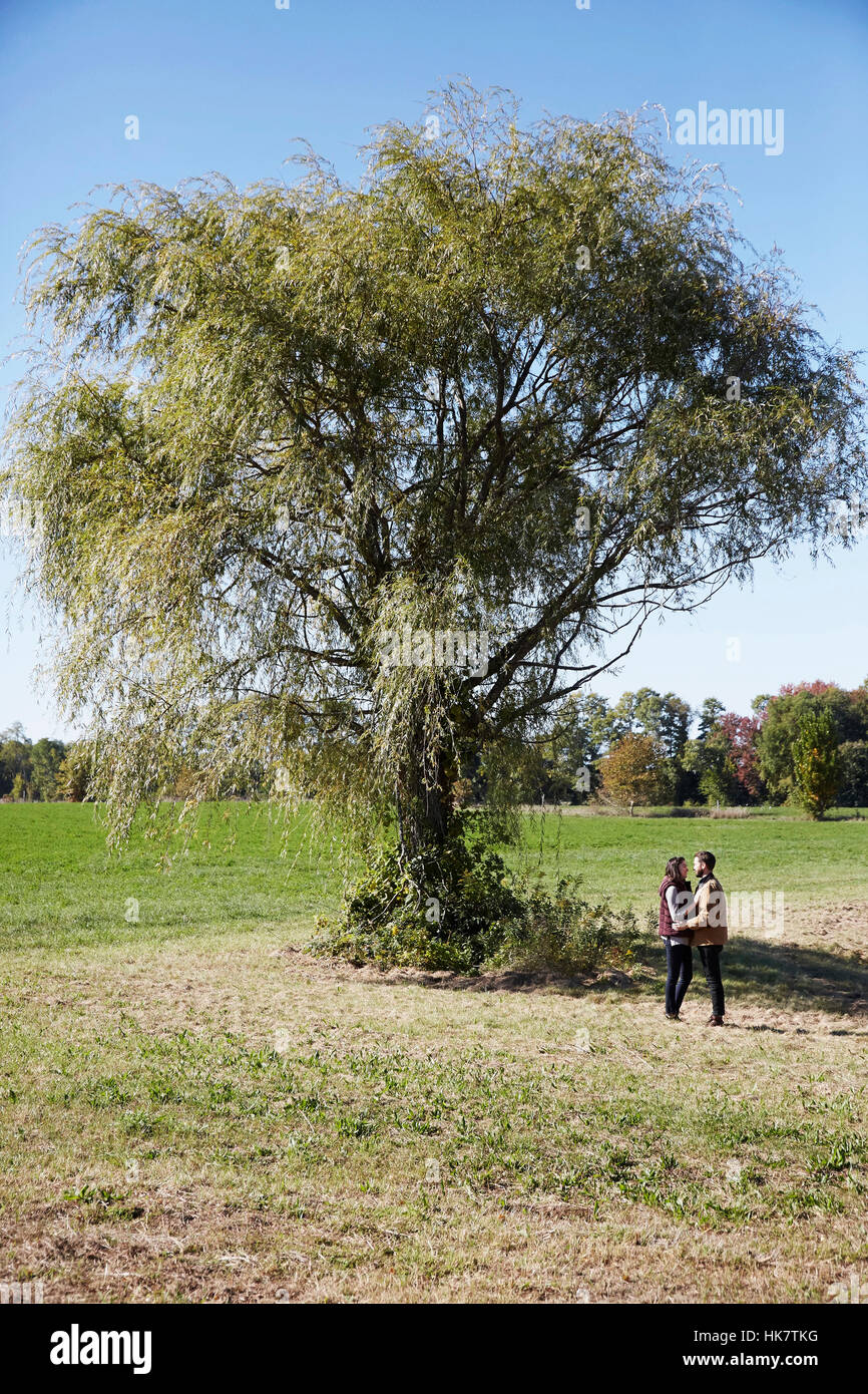Man standing next to tree hi-res stock photography and images - Alamy