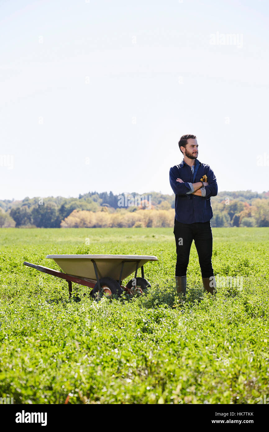 A young man in working clothes standing in a crop field with arms ...