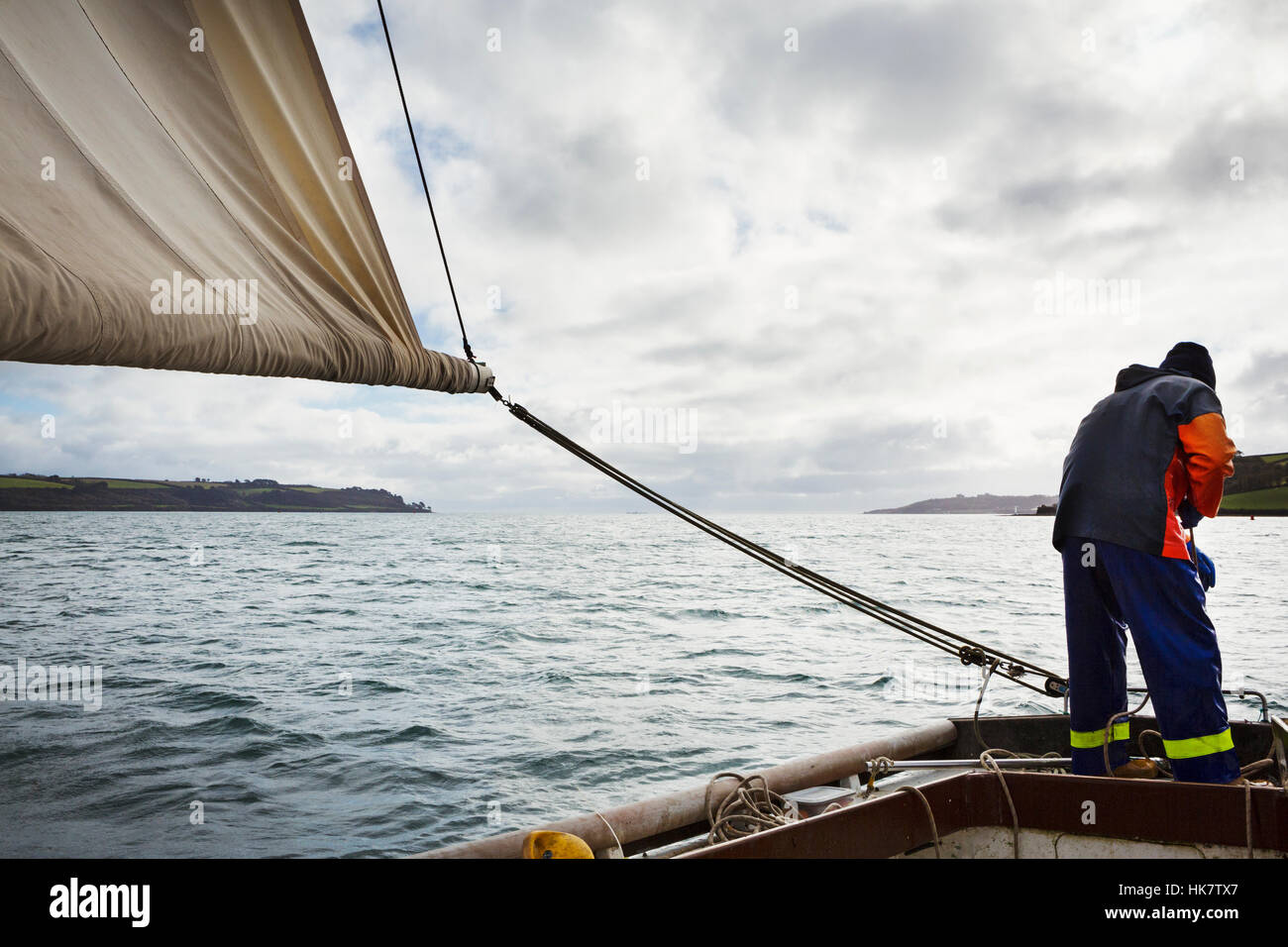 Traditional Sustainable Oyster Fishing, a fisherman on a sailing boat ...