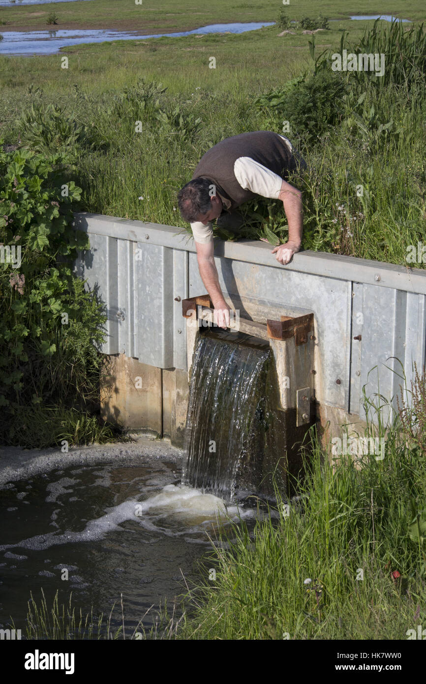 Adjusting the sluice gate from the main drainage dyke at Deepdale marsh ...