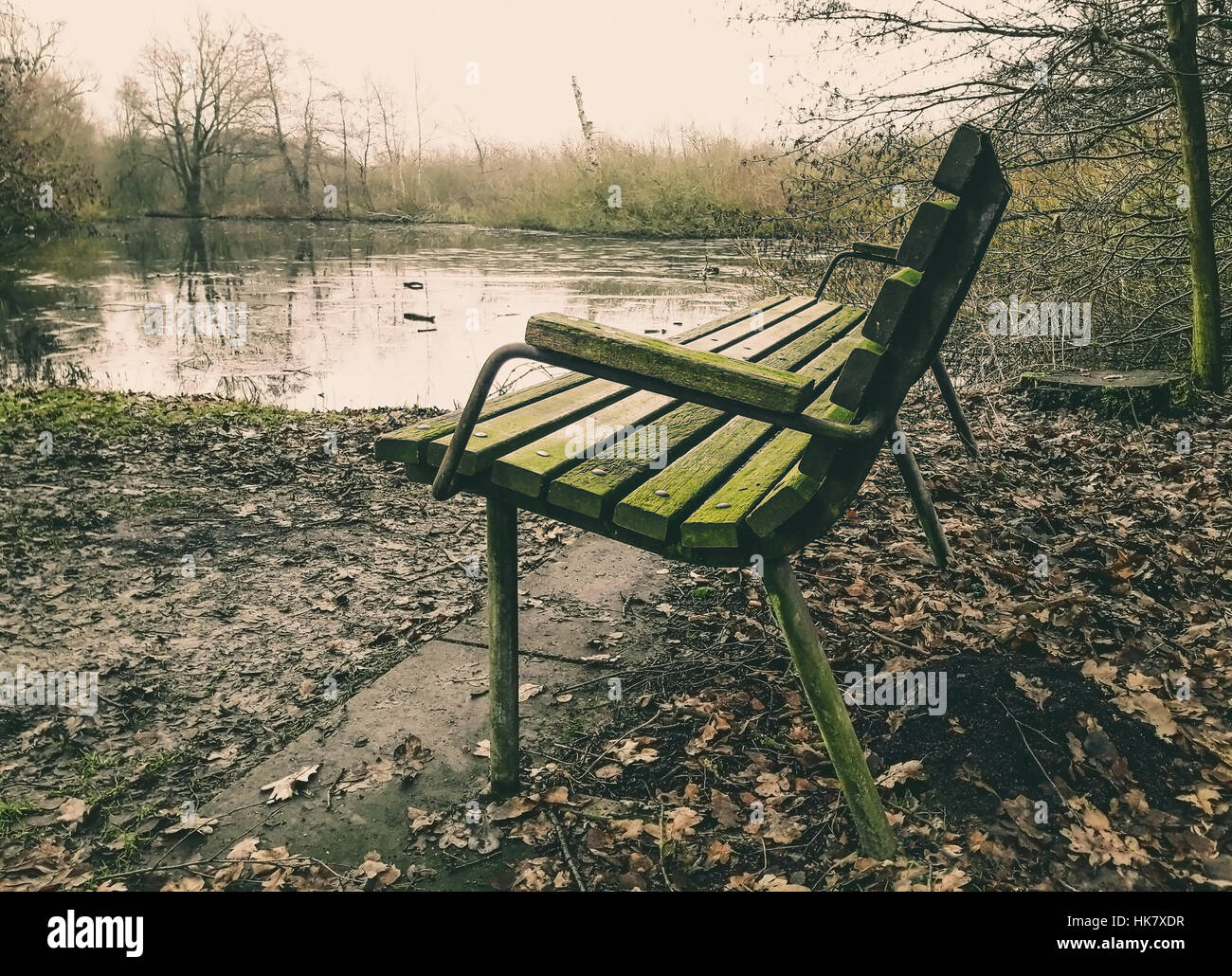 Old bench tree hi-res stock photography and images - Alamy