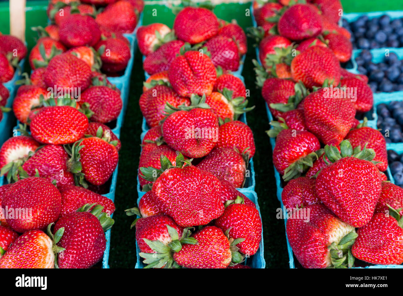 Full of strawberries hi-res stock photography and images - Alamy