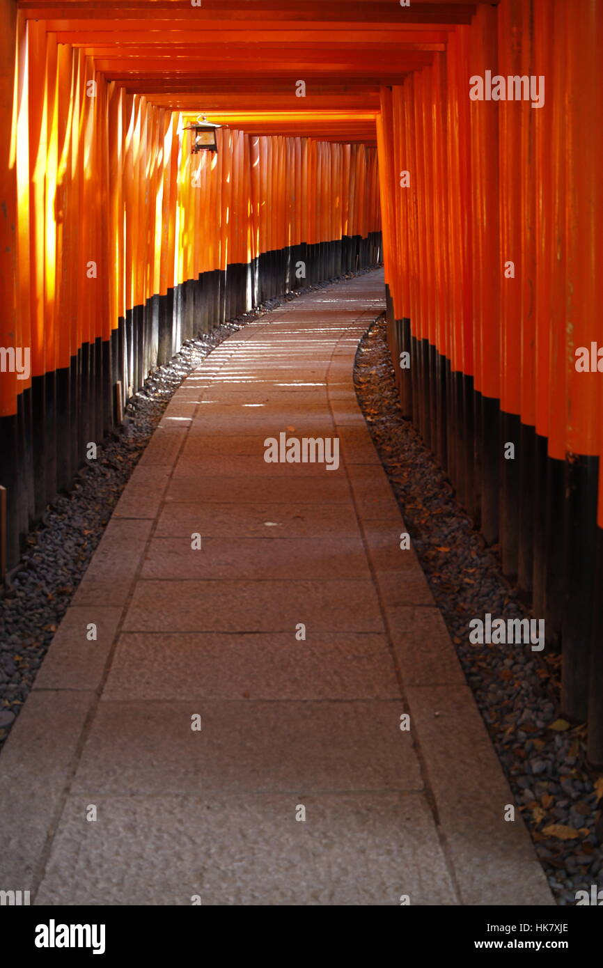 Famous torii gates on the path to Fushimi Inari Taisha shrine on Mount ...