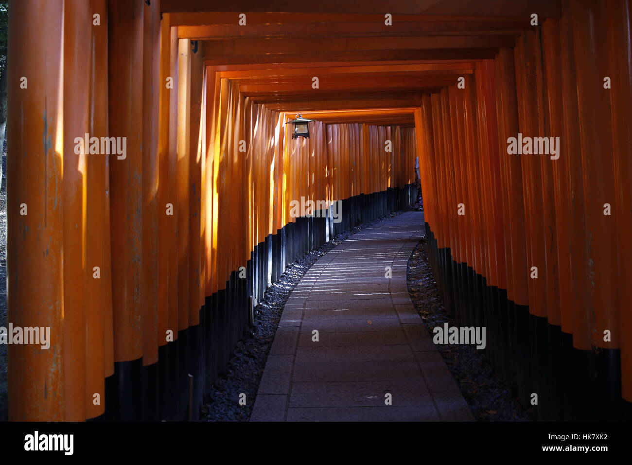 Famous torii gates on the path to Fushimi Inari Taisha shrine on Mount ...