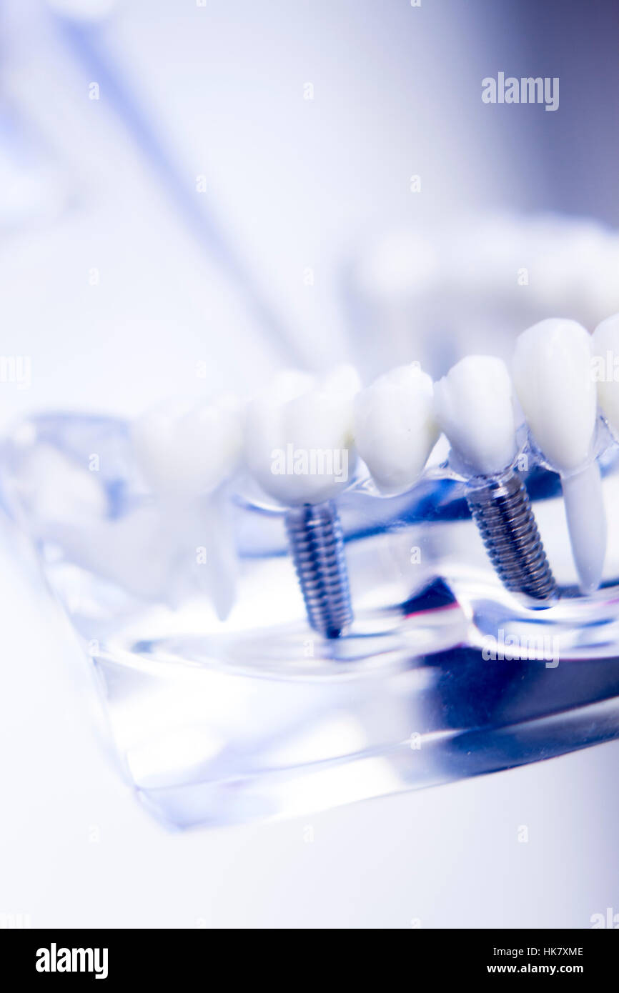 Dentists tooth plastic model used for teaching, learning and patient ...