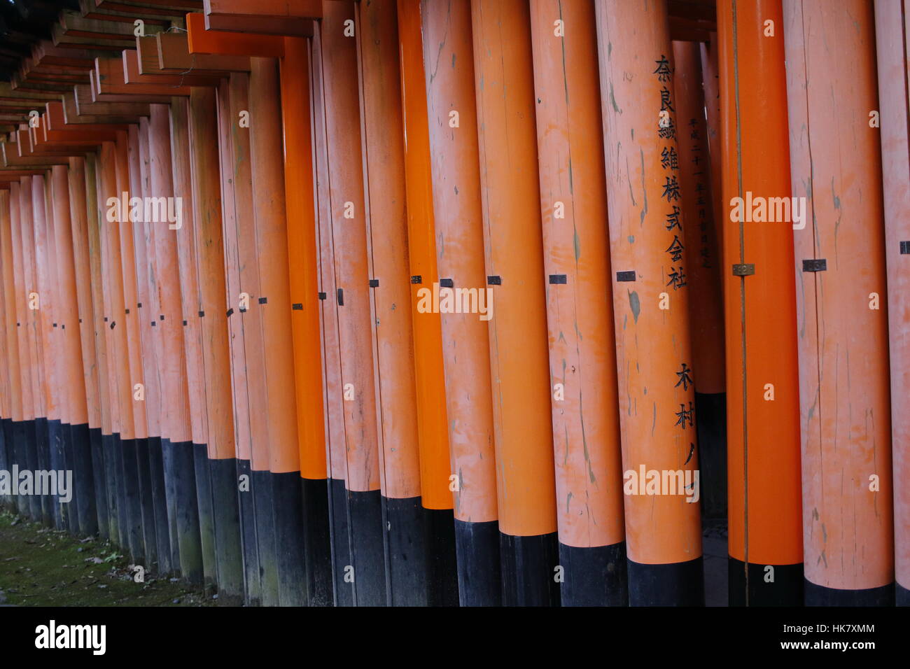 Famous torii gates on the path to Fushimi Inari Taisha shrine on Mount ...