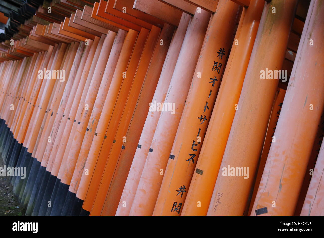Famous torii gates on the path to Fushimi Inari Taisha shrine on Mount ...