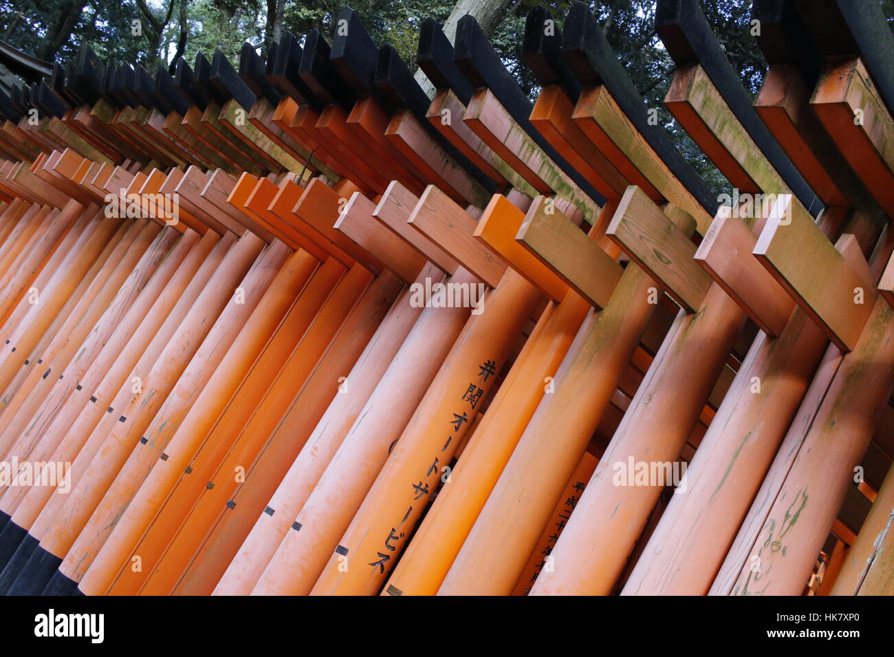 Famous torii gates on the path to Fushimi Inari Taisha shrine on Mount ...