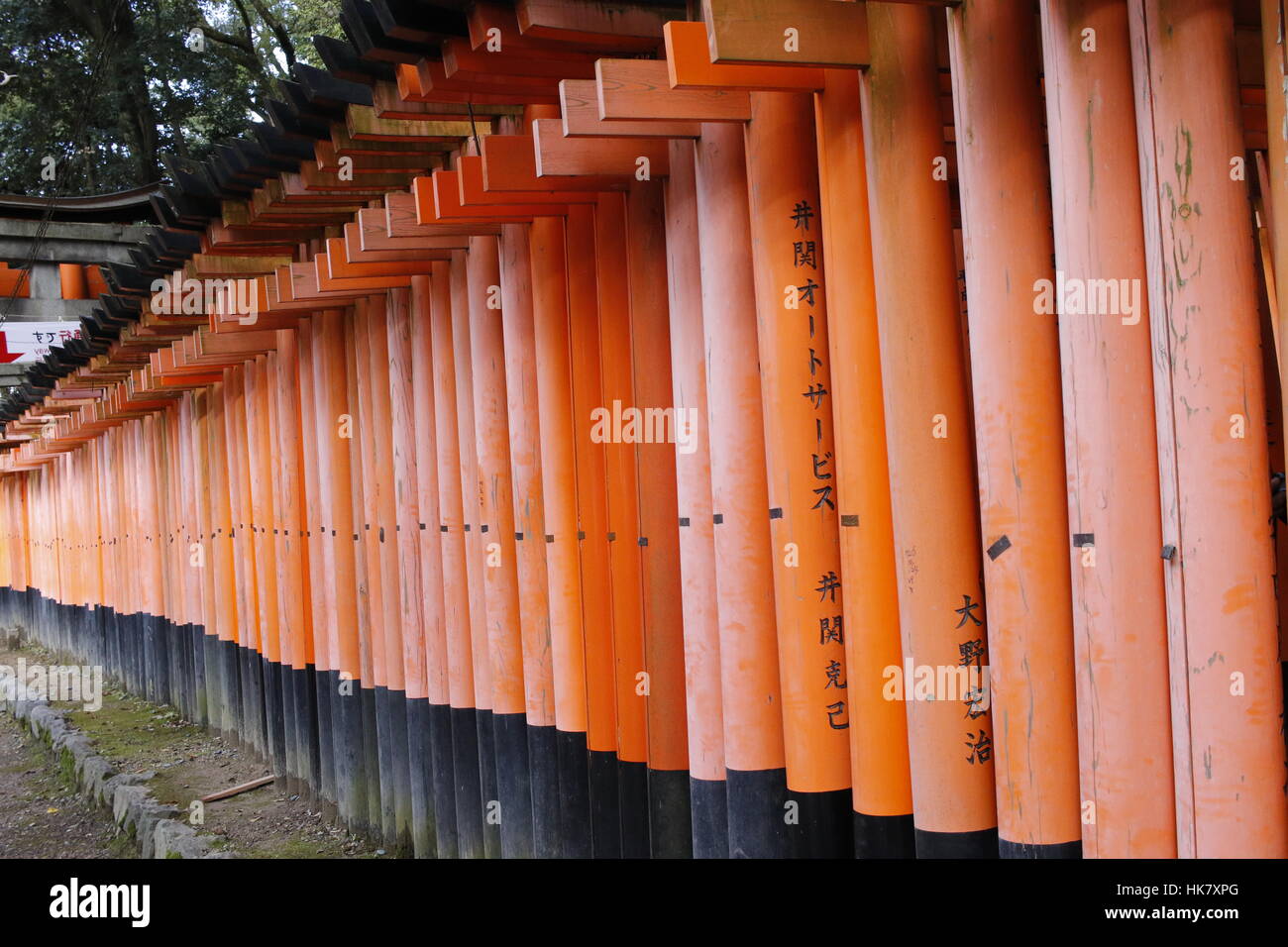 Famous torii gates on the path to Fushimi Inari Taisha shrine on Mount ...