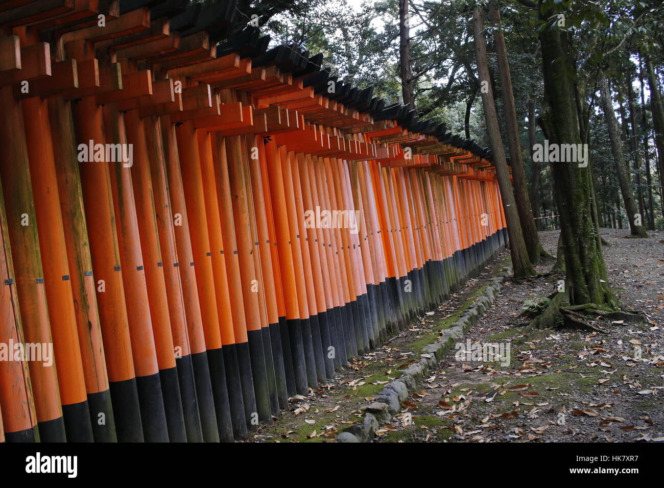 Famous torii gates on the path to Fushimi Inari Taisha shrine on Mount ...