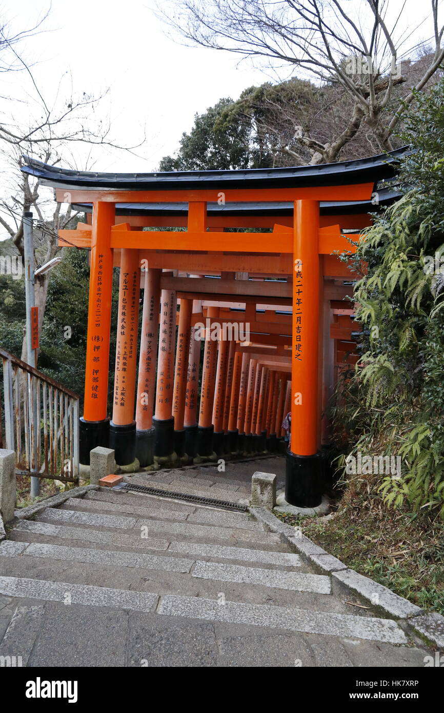 Famous torii gates on the path to Fushimi Inari Taisha shrine on Mount ...