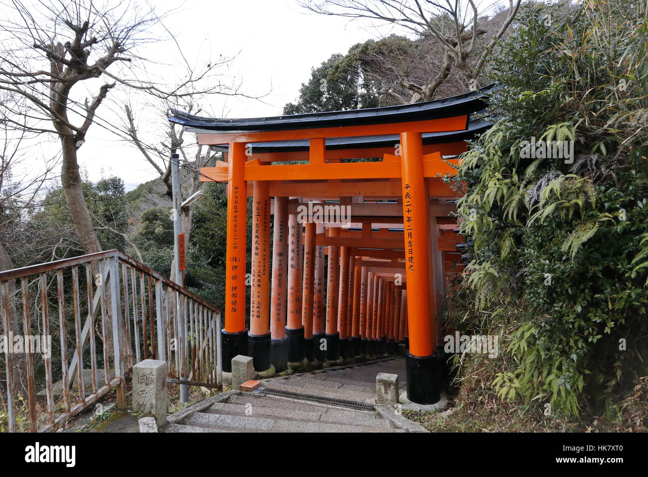 Famous torii gates on the path to Fushimi Inari Taisha shrine on Mount ...