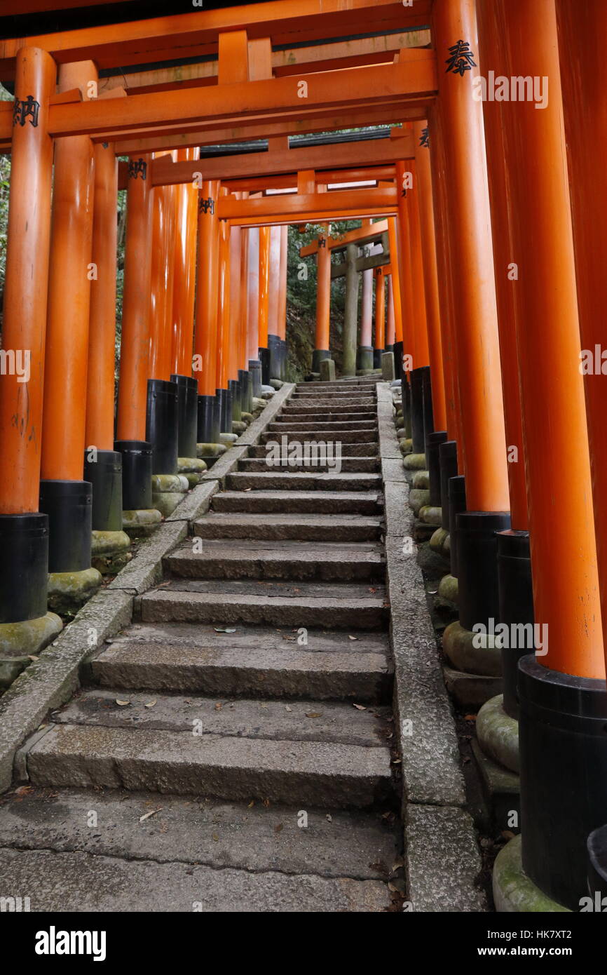 Famous torii gates on the path to Fushimi Inari Taisha shrine on Mount ...