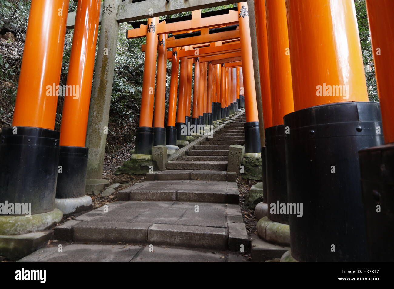 Famous torii gates on the path to Fushimi Inari Taisha shrine on Mount ...