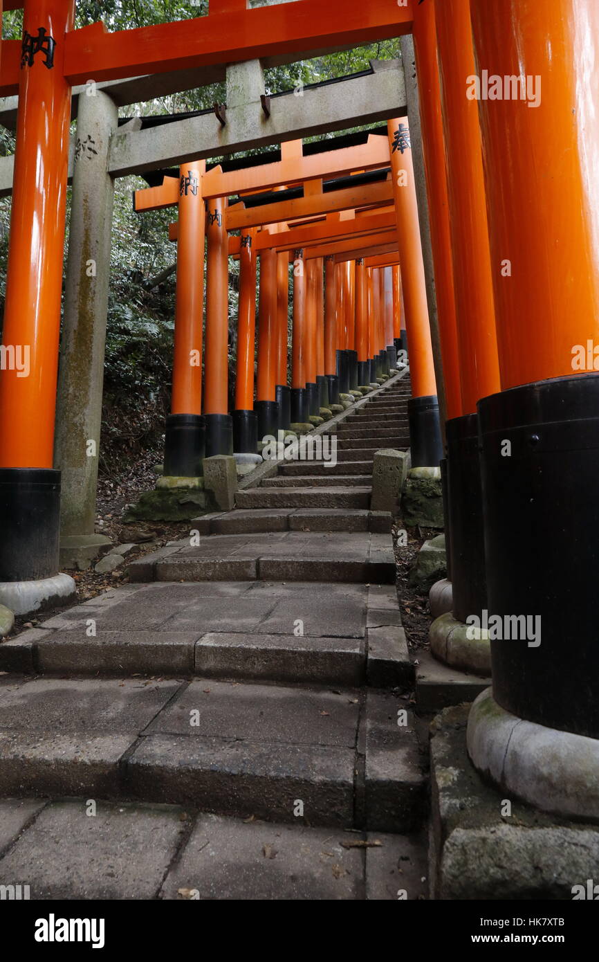 Famous torii gates on the path to Fushimi Inari Taisha shrine on Mount ...