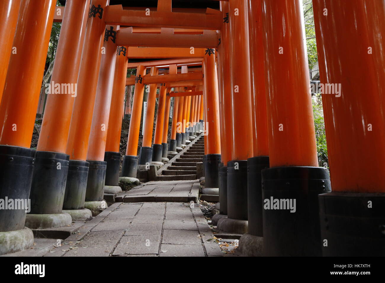 Famous torii gates on the path to Fushimi Inari Taisha shrine on Mount ...