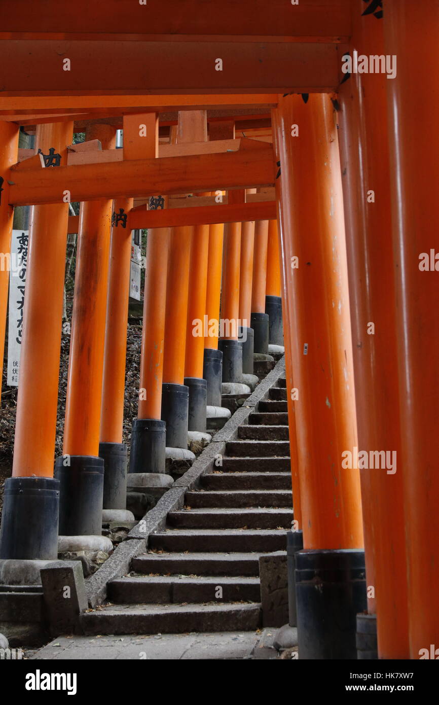 Famous torii gates on the path to Fushimi Inari Taisha shrine on Mount ...