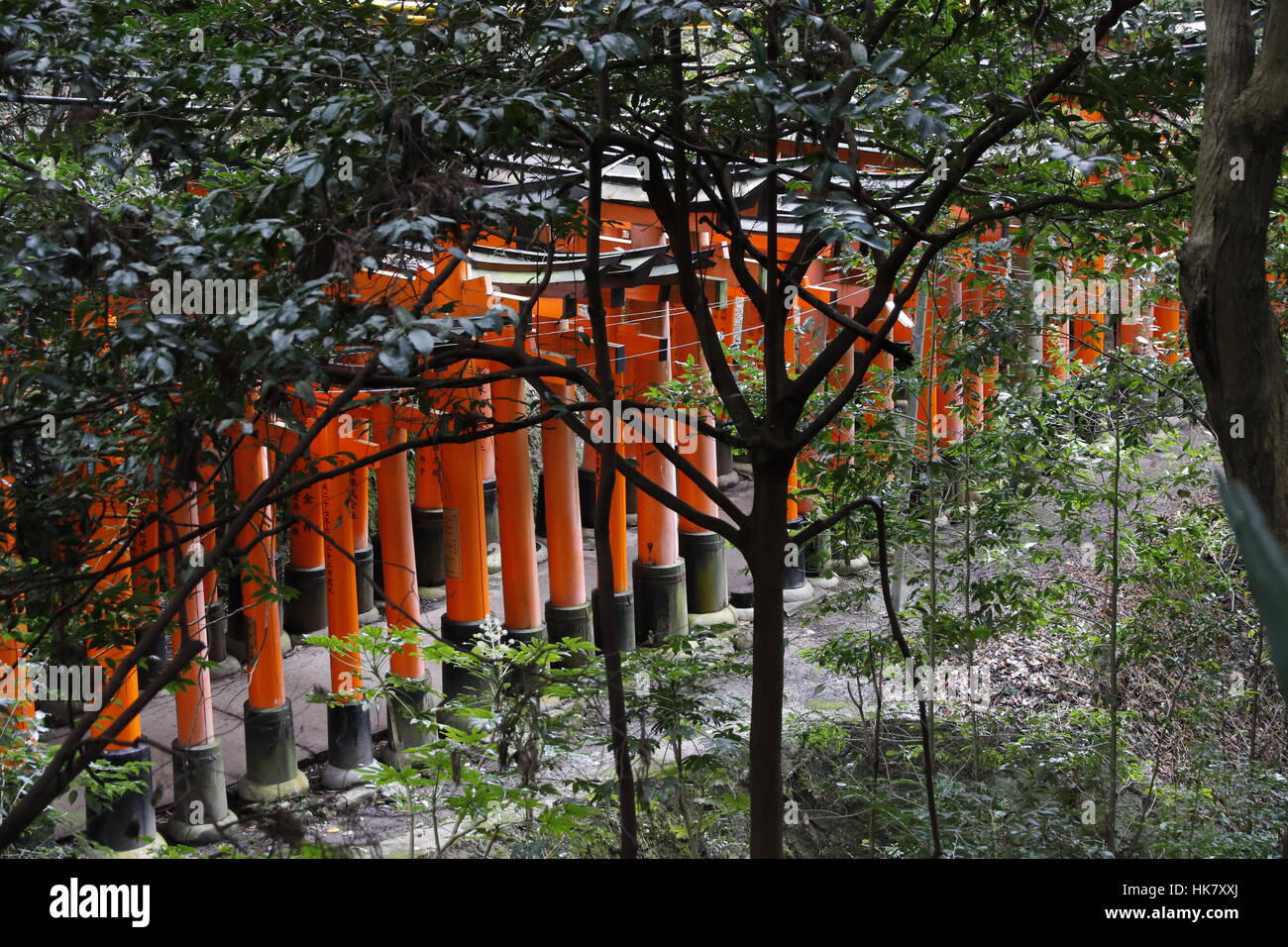Famous torii gates on the path to Fushimi Inari Taisha shrine on Mount ...
