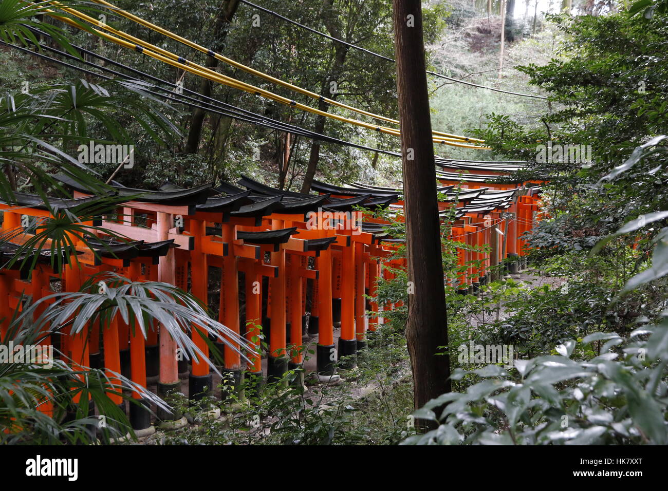 Fushimi inari shrine on mount inari hi-res stock photography and images ...