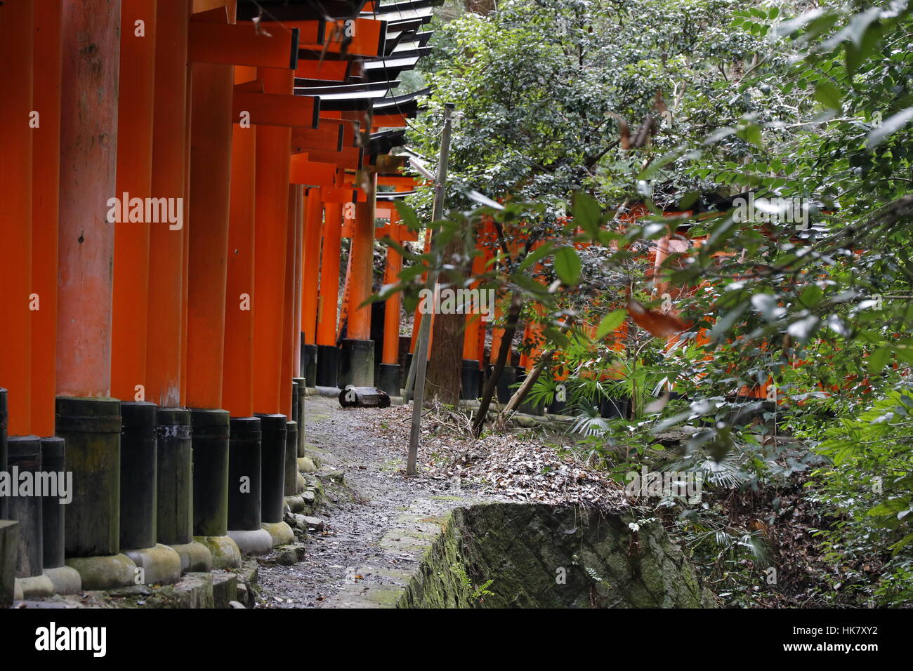 Famous torii gates on the path to Fushimi Inari Taisha shrine on Mount ...