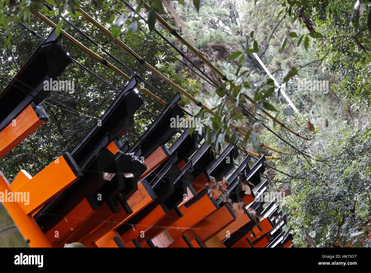 Famous torii gates on the path to Fushimi Inari Taisha shrine on Mount ...