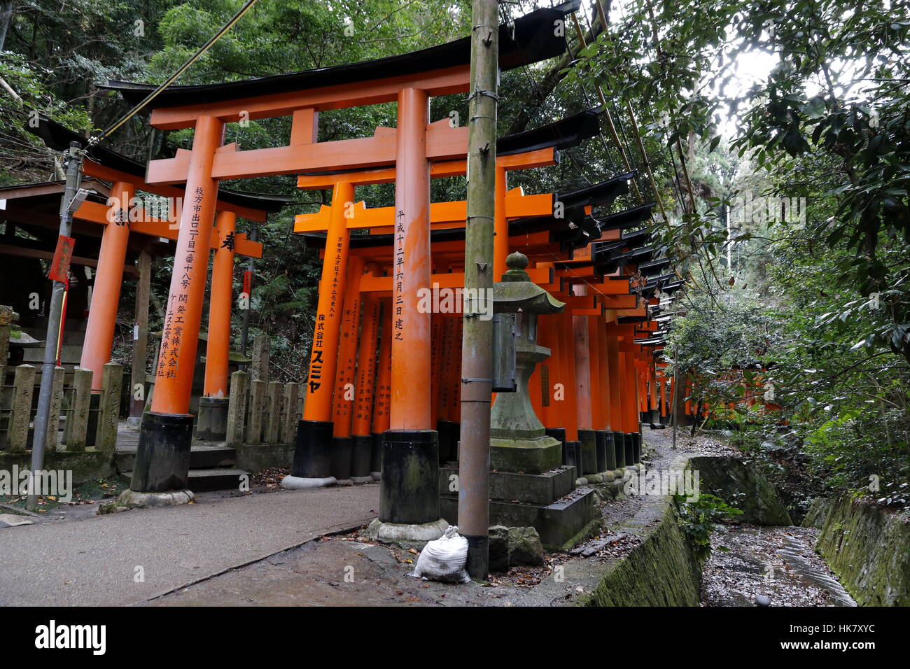 Famous torii gates on the path to Fushimi Inari Taisha shrine on Mount ...