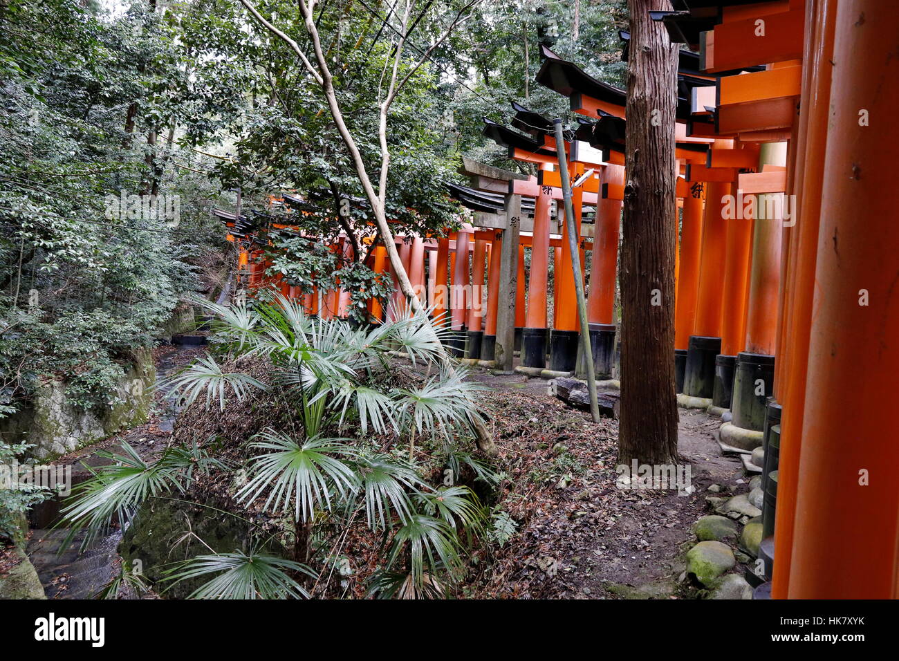Fushimi Inari Shrine On Mount Inari High Resolution Stock Photography ...