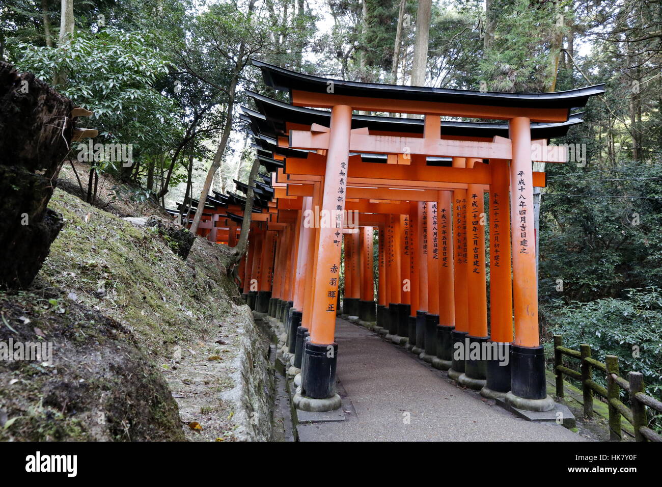 Famous torii gates on the path to Fushimi Inari Taisha shrine on Mount ...