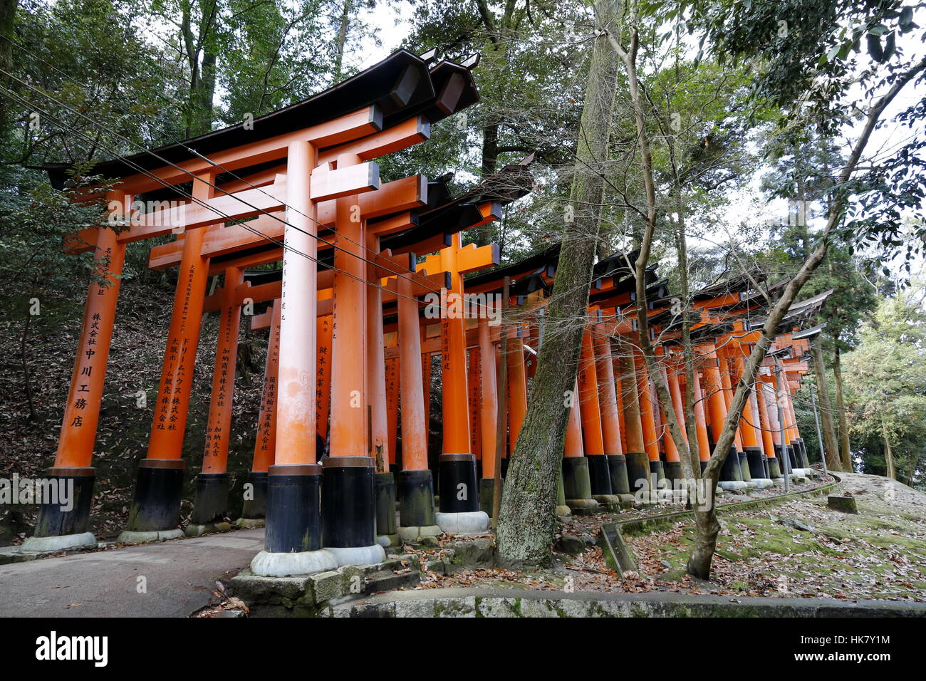 Famous torii gates on the path to Fushimi Inari Taisha shrine on Mount ...