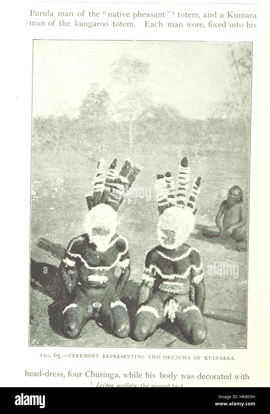 Image from page 354 of 'The Native Tribes of Central Australia ...