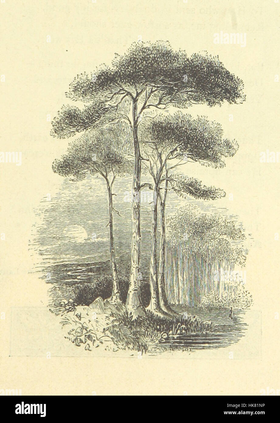 Illustration from 'The Illustrated Book of Sacred Poems', a collection ...