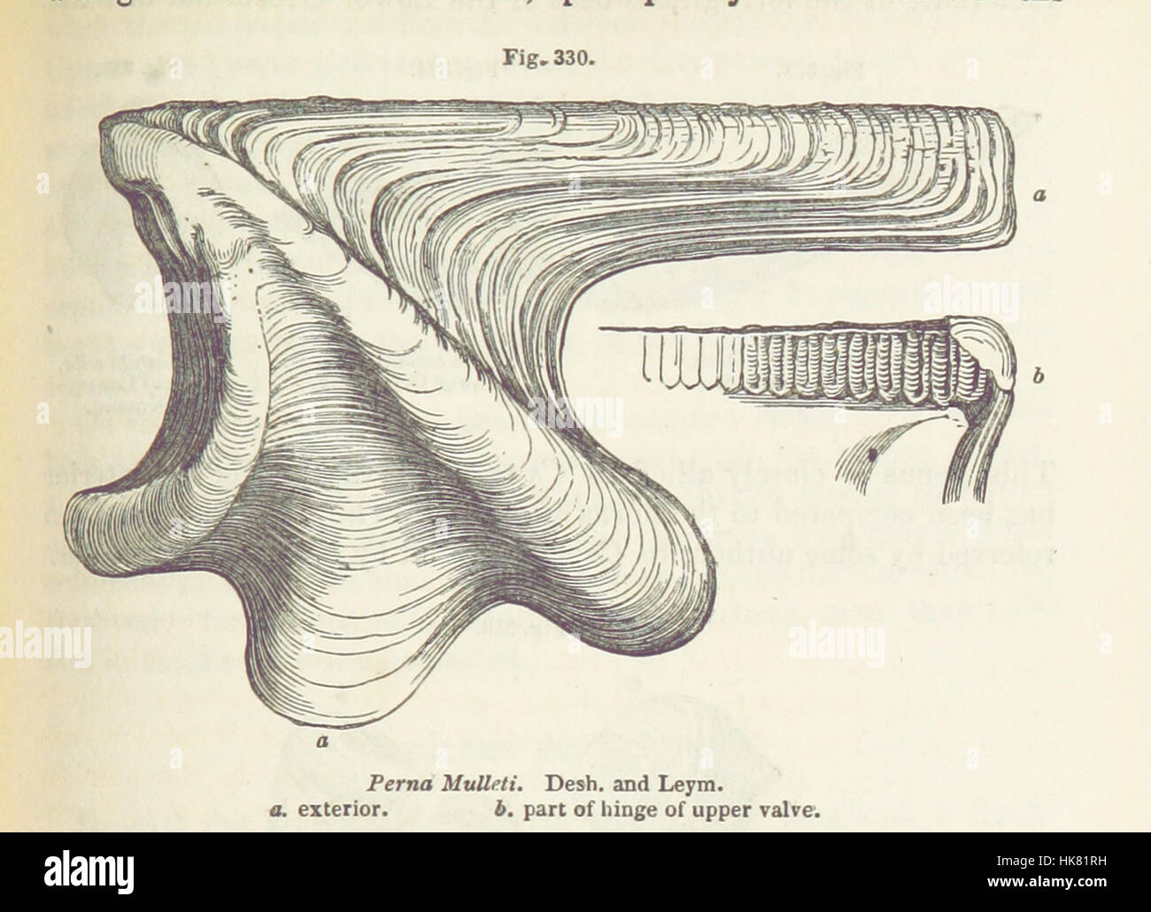 An image from 'Elements of Geology', showcasing geological ...