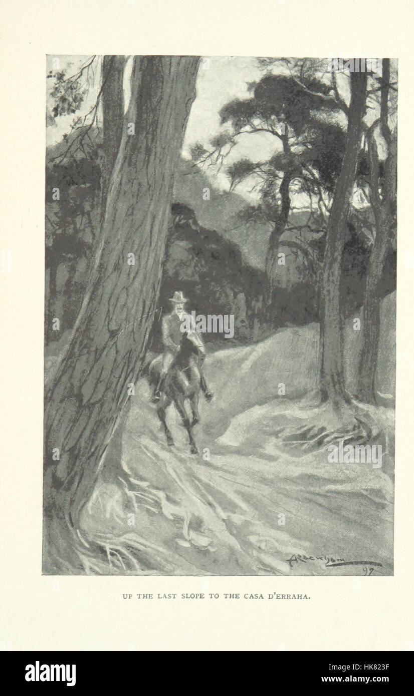 Image from 'The Grey Lady', a work focusing on the mysterious figure of ...