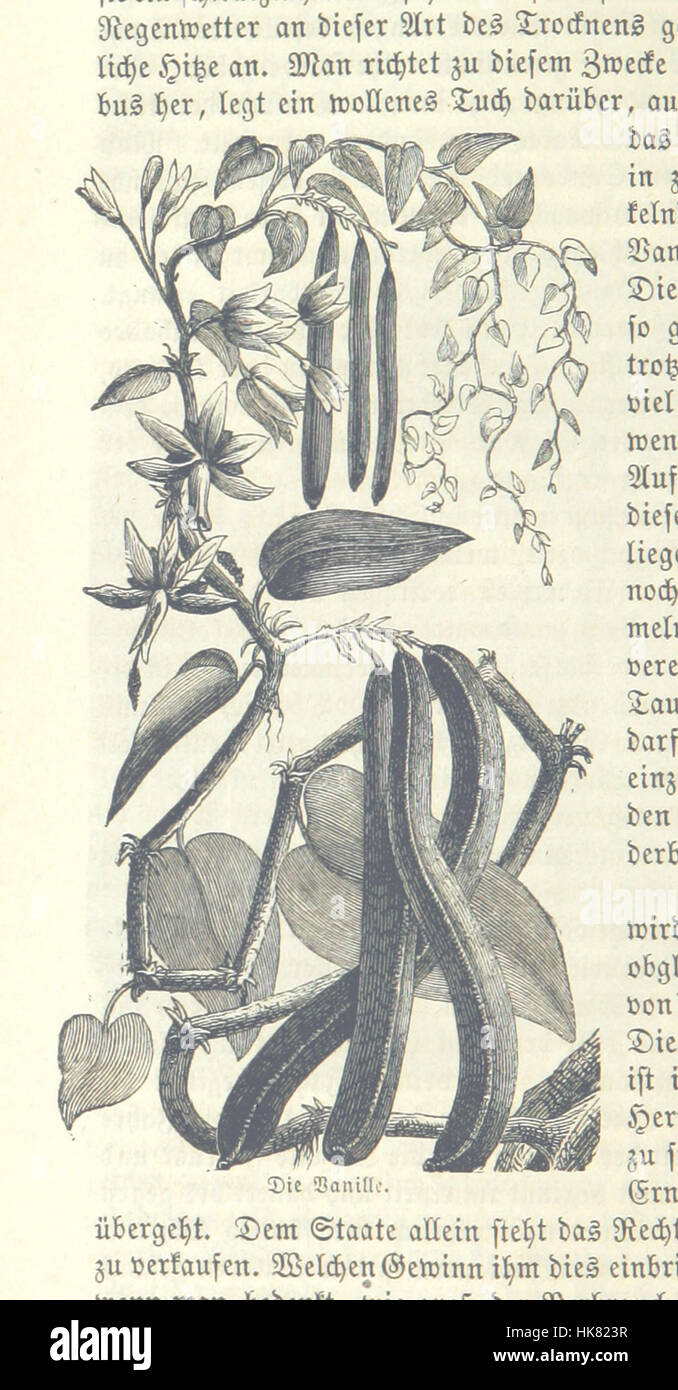 Photograph from 'Das heutige Mexiko', depicting life and land in Mexico ...