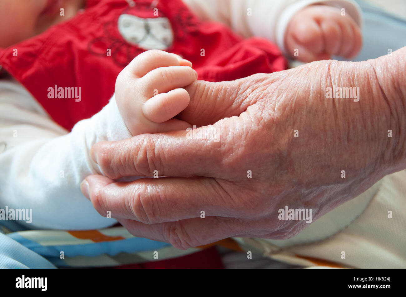 The hand of baby in the hand of his grandmother Stock Photo - Alamy