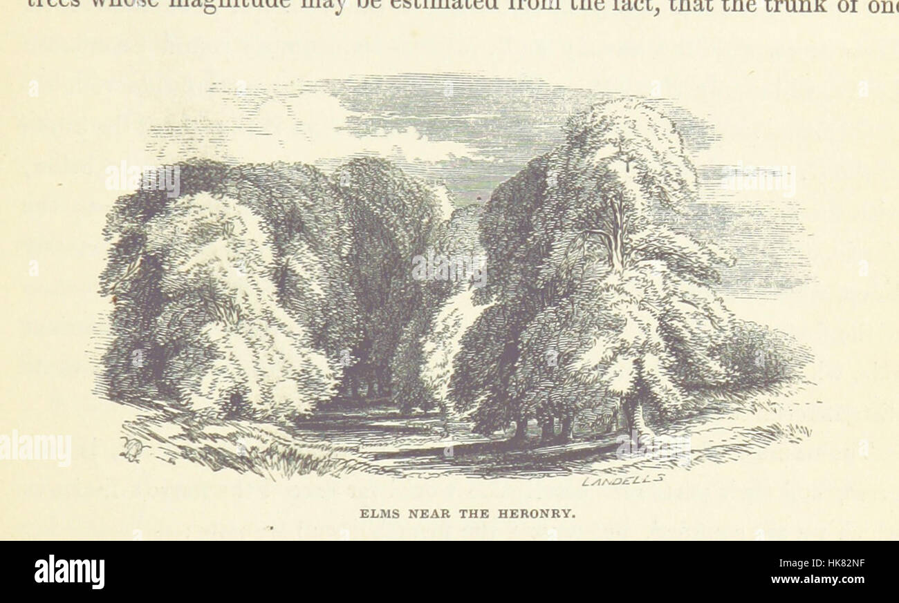 Image from 'A Picturesque Tour of the River Thames', illustrating the ...