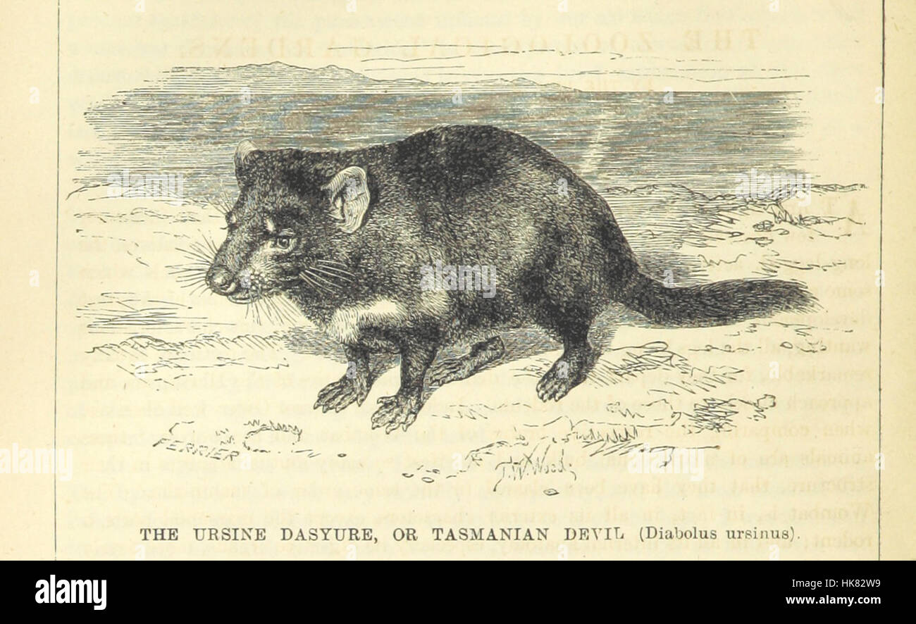 Image from 'Beeton's Historical Romances' illustrating daring deeds and ...