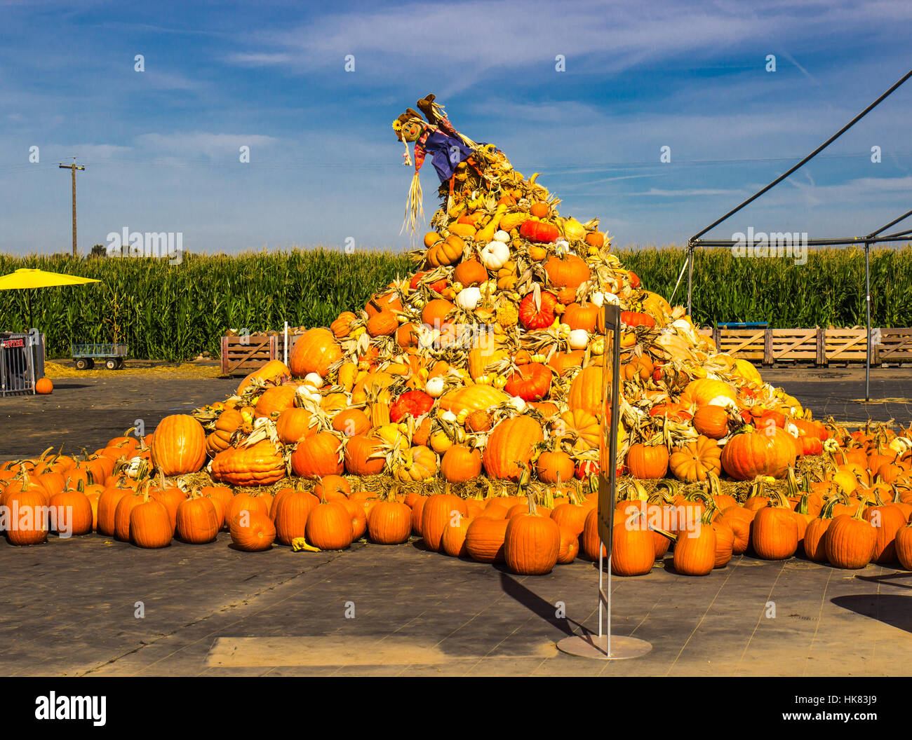 Heaping Pile of Pumpkins At Local Farm Stock Photo - Alamy