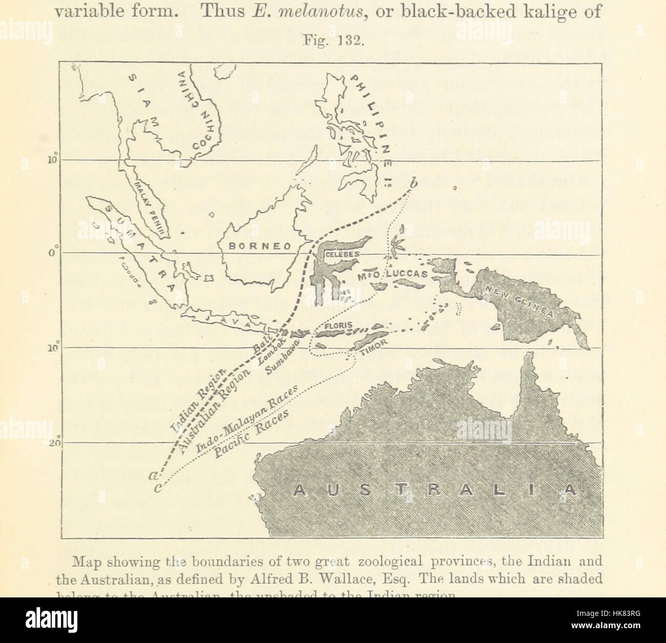 Principles of geology charles lyell hi-res stock photography and images ...