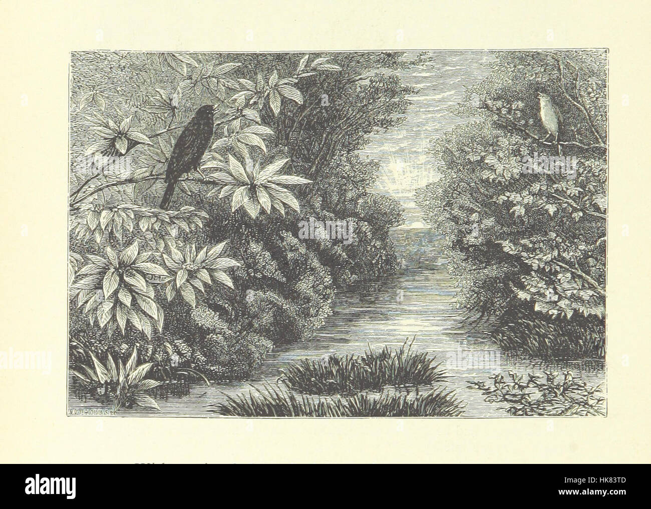 Image showing an illustrated edition of Favourite English Poems and ...