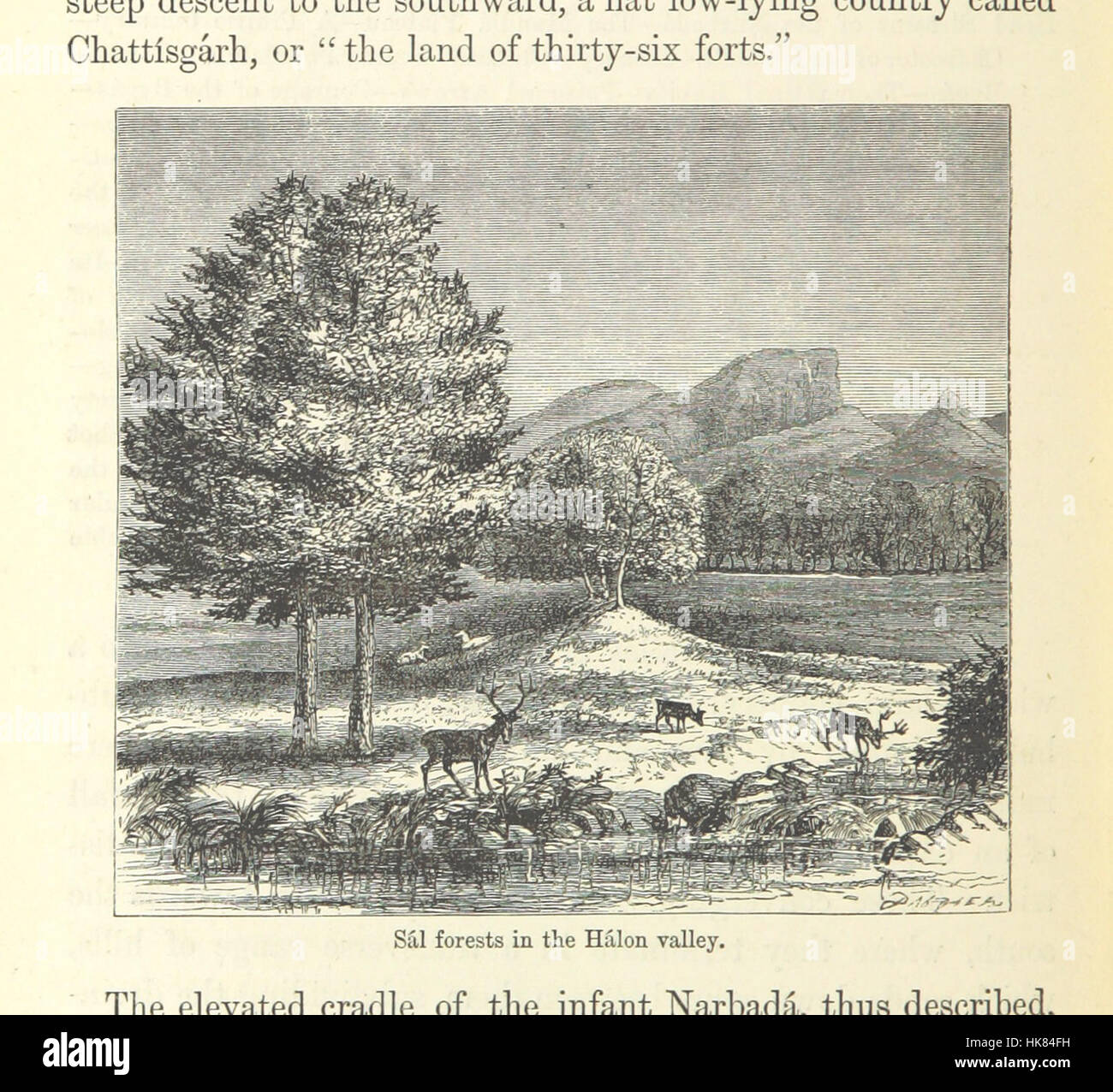 An image from 'The Highlands of Central India,' focusing on the natural ...