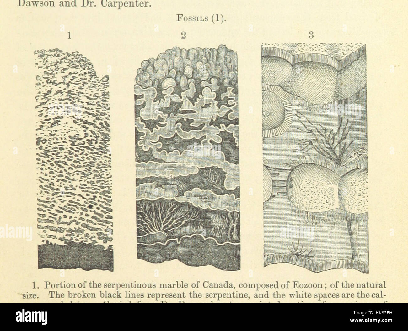 Siluria history oldest known rocks hi-res stock photography and images ...