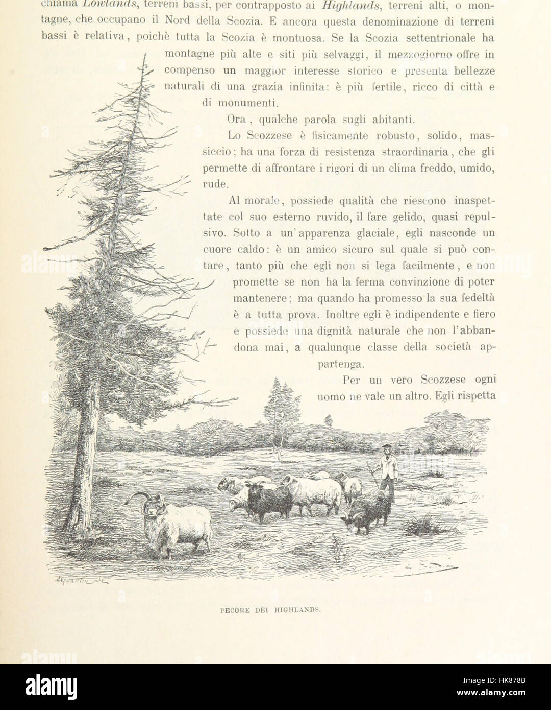 Scoz hi-res stock photography and images - Alamy