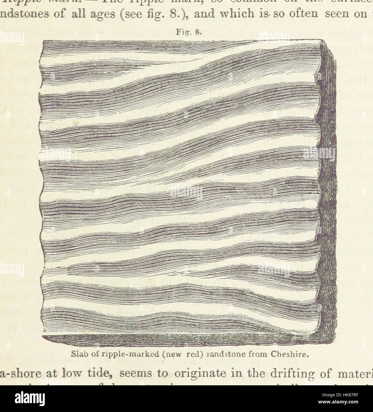 Image from 'Elements of Geology' showcasing detailed illustrations of ...